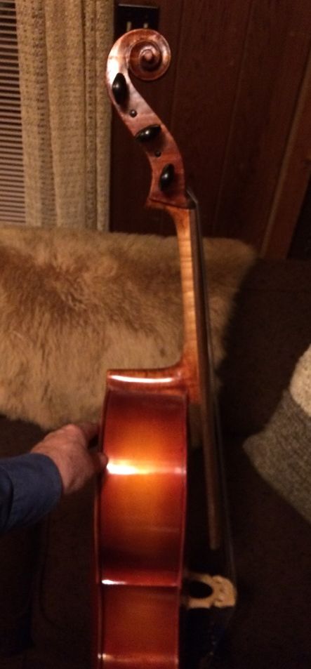 5-string Violoncello Piccolo complete! | Five String Fiddles